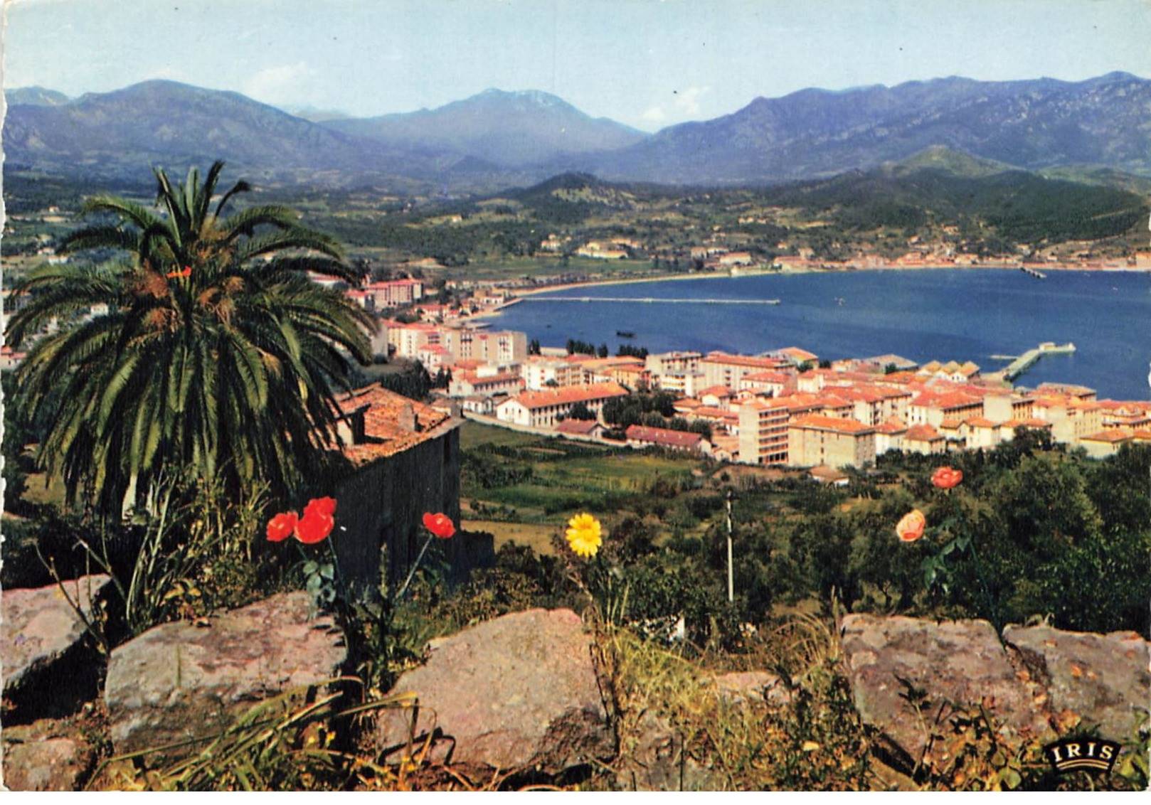 20 AJACCIO AE#DC116 CITY VIEW TAKEN FROM ASPRETTO THE BEACH | eBay